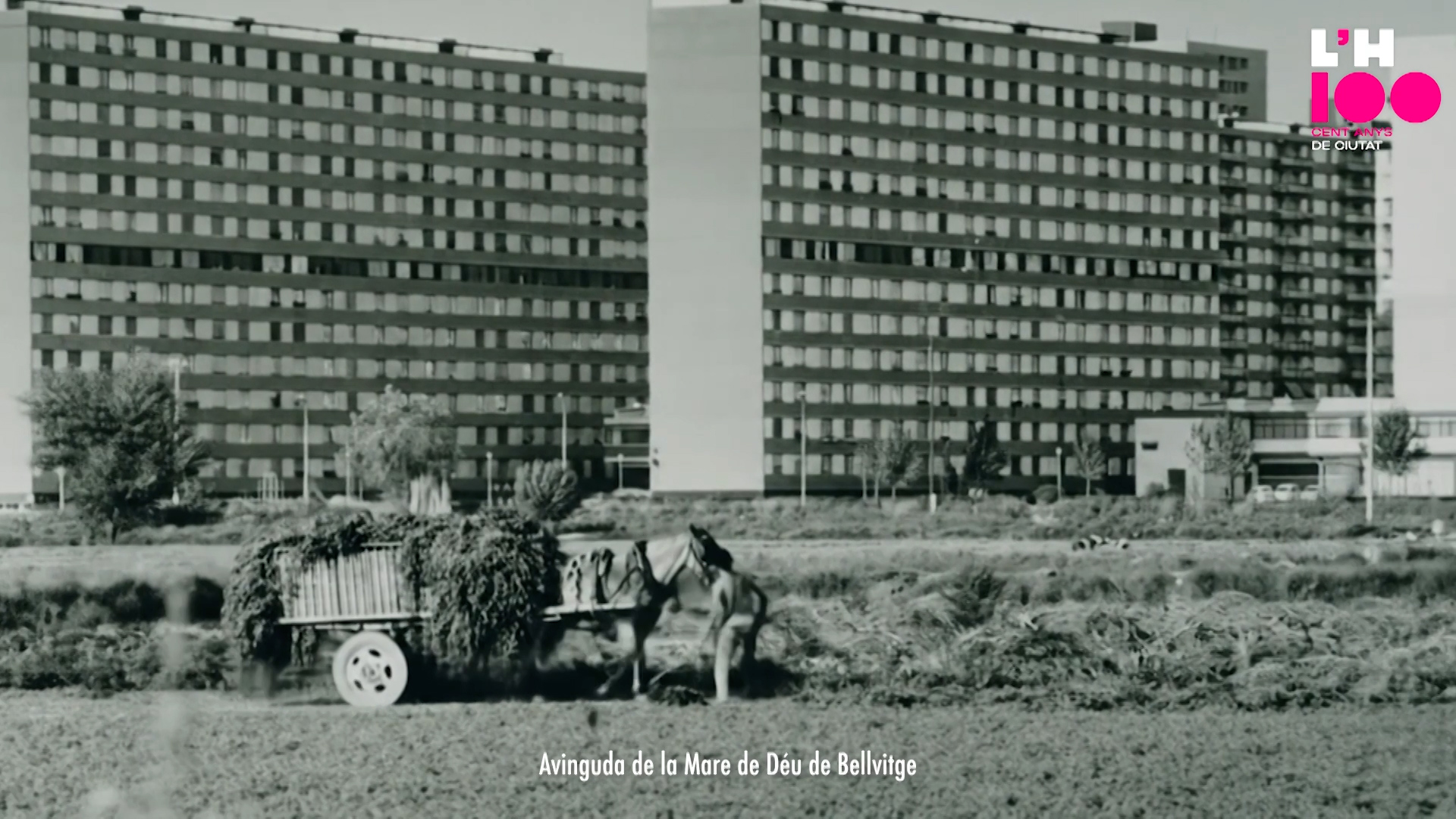 ‘Street Viu’ recrea la vida quotidiana de L’Hospitalet als anys 50, 60 i 70 - L'Hdigital